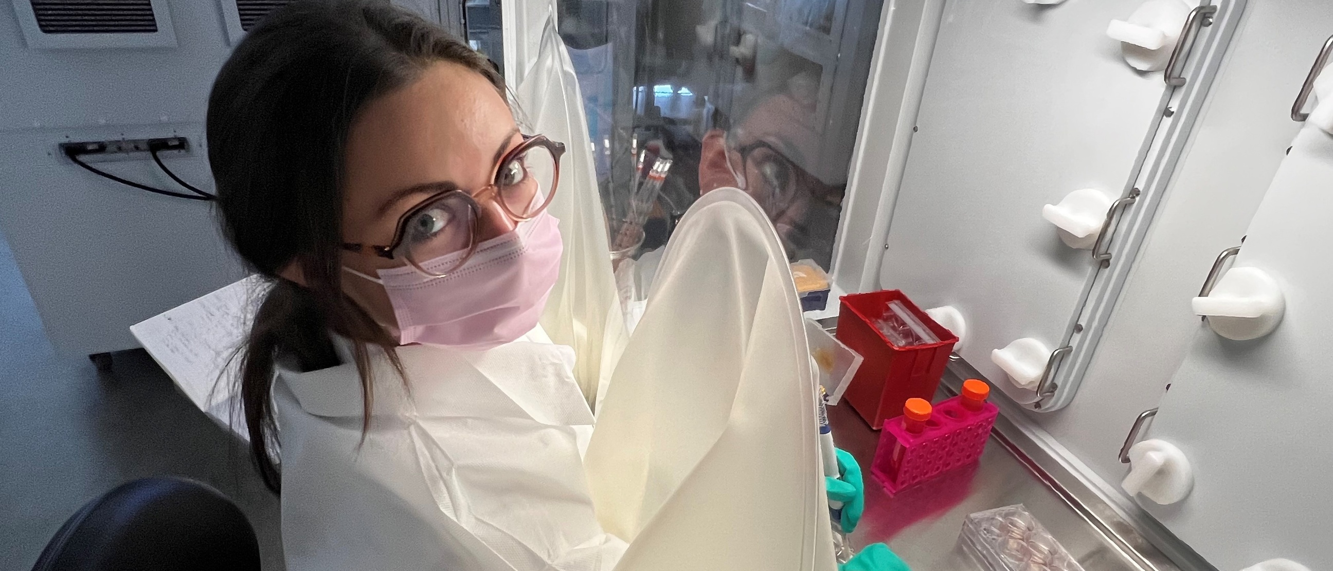 Why Genetics PhD at the University of Iowa? | Interdisciplinary ...